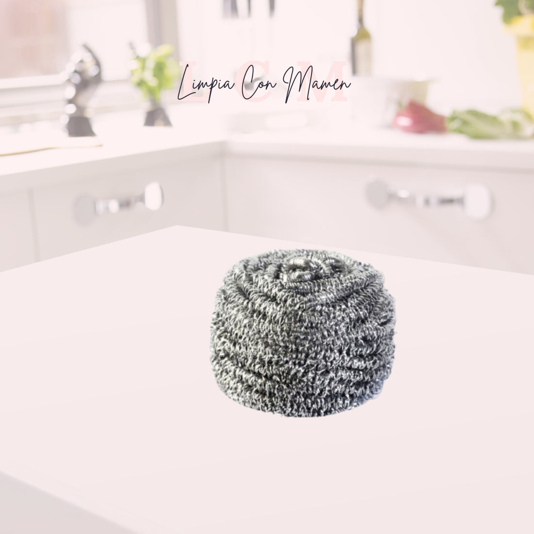 ESTROPAJO BIG INOX – Limpia Con Mamen